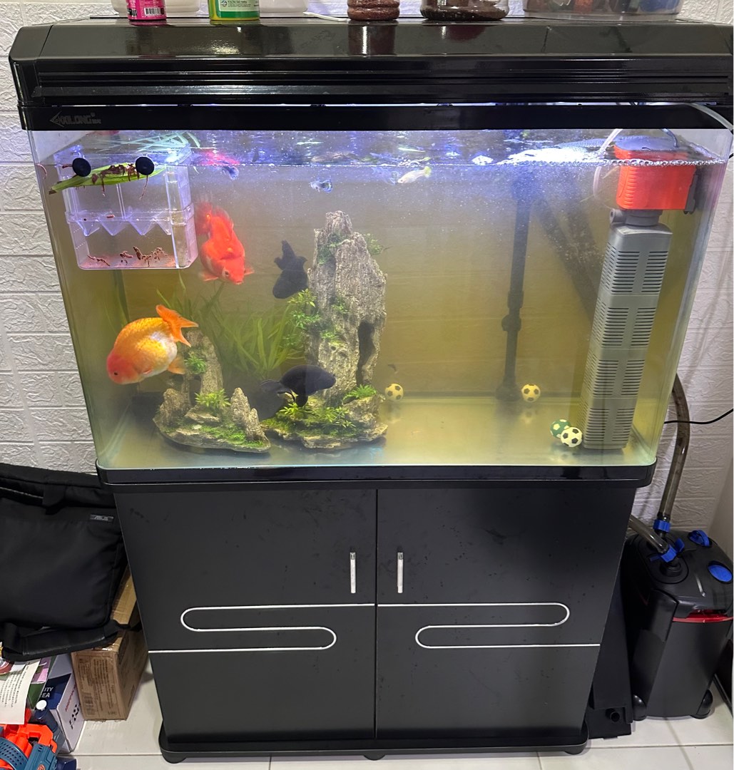 Fish tank with cabinet., Pet Supplies, Homes & Other Pet Accessories on ...