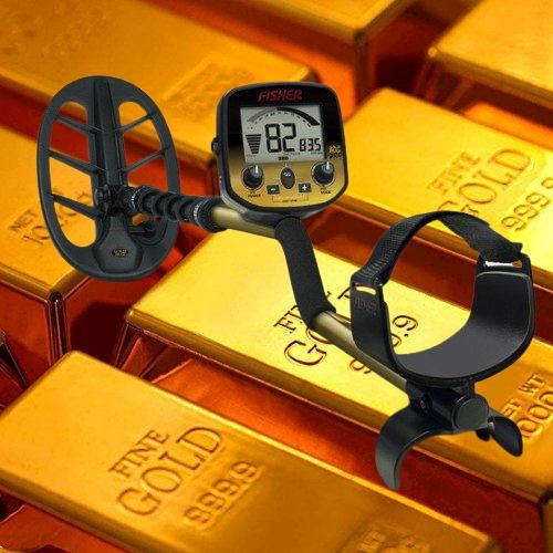 FISHER GOLD BUG PRO SCANNER METAL & GOLD DETECTOR, Furniture & Home ...