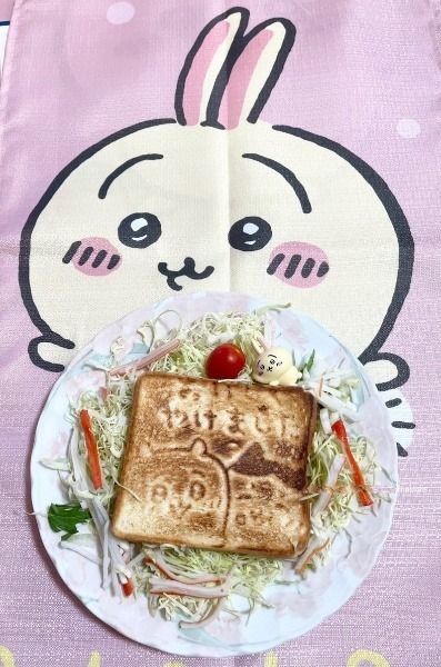 Japan Chiikawa Hot Sandwich Maker Waffle Maker Camping, TV & Home ...