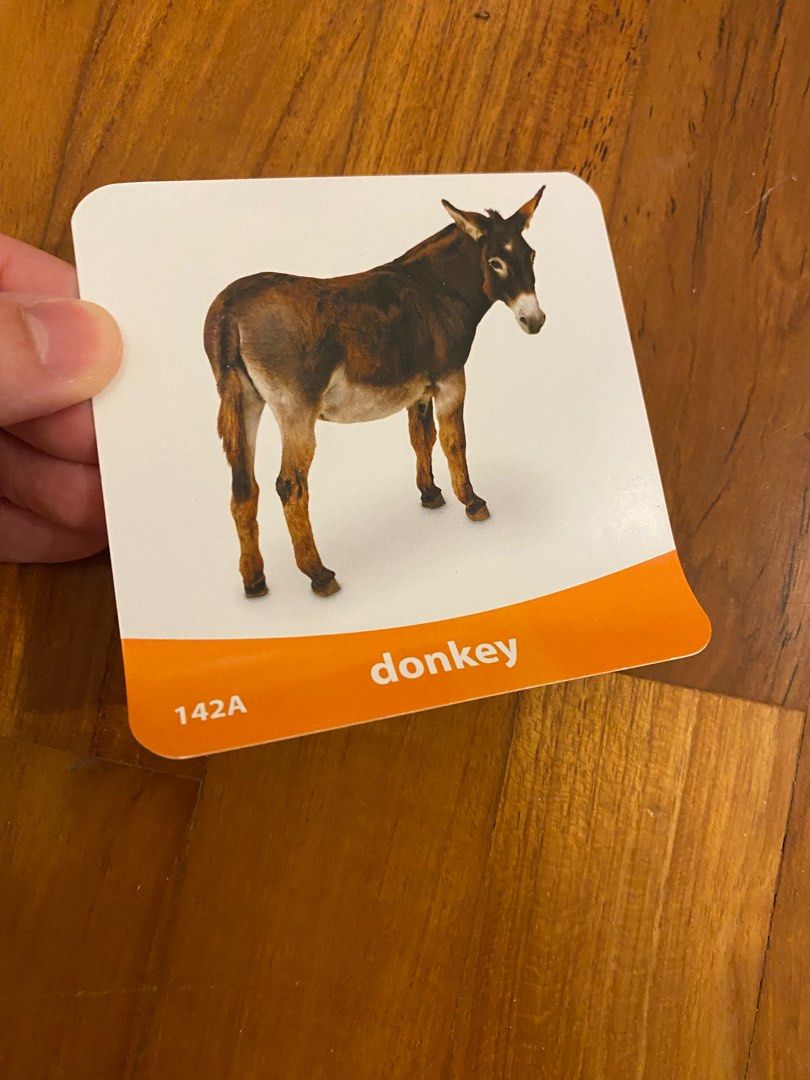 Learning resources basic vocabulary photo cards, flashcards, Hobbies ...