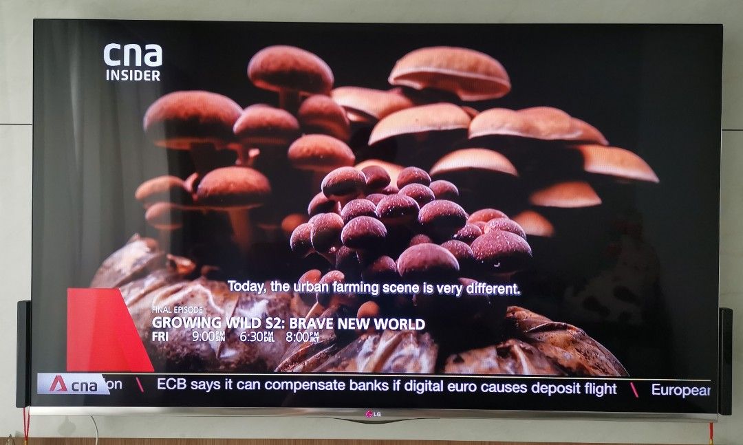 LG 55" CINEMA 3D Smart TV, TV & Home Appliances, TV & Entertainment, TV ...