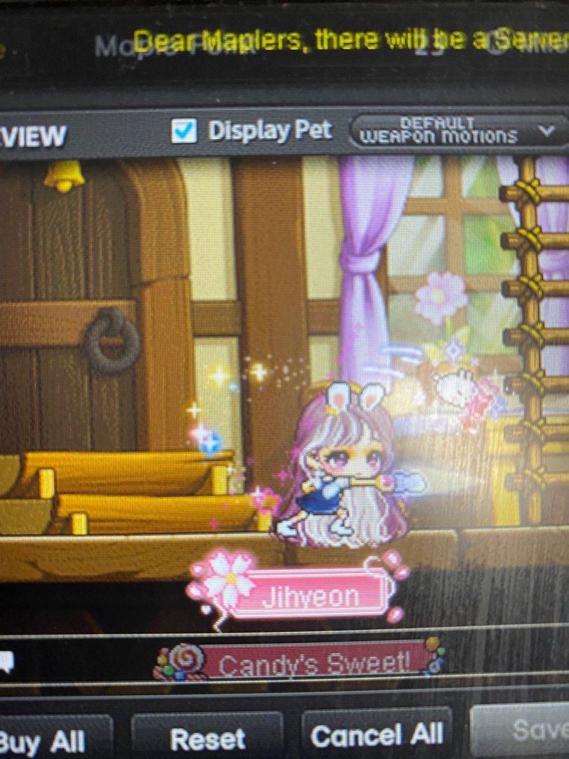 Maplestory Moon Bunny Space Set, Video Gaming, Gaming Accessories, In ...