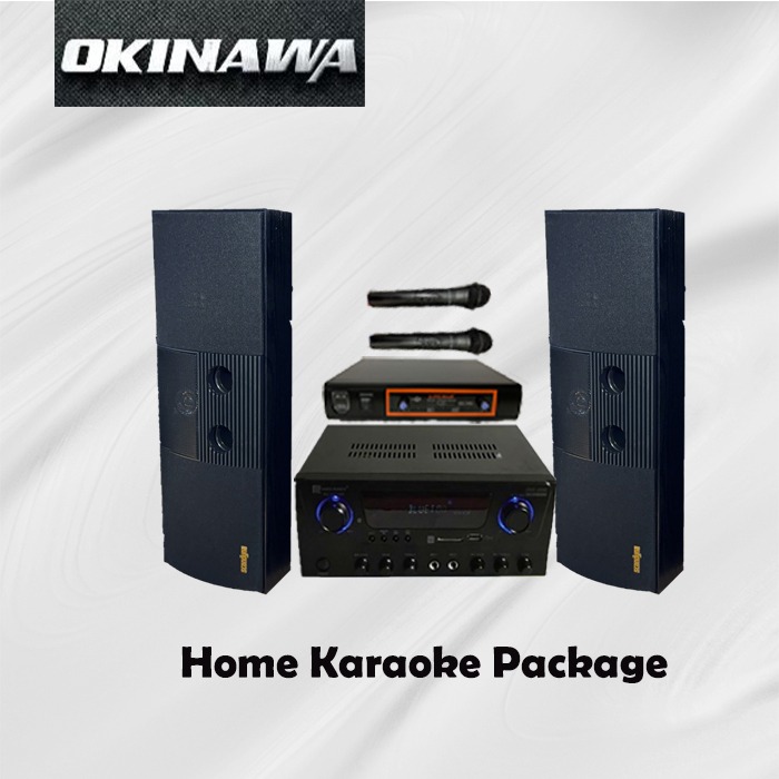 Martin Roland Home Karaoke Package with Duo Speaker, Amplifier ...