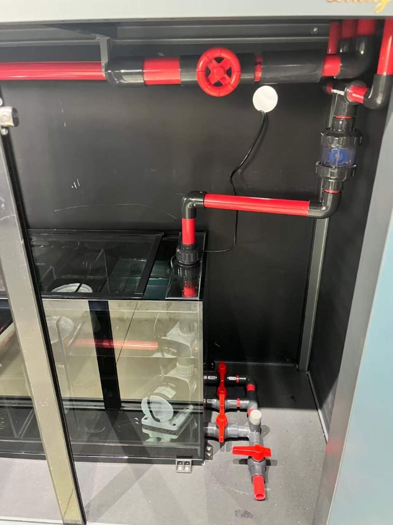 planted fish tank with sump system, Pet Supplies, Homes & Other Pet ...