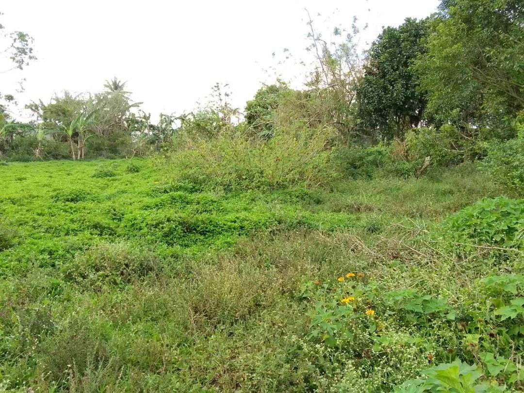 Prime Lot for SALE in Scenic Tagaytay's Villa Severina Subdivision ...