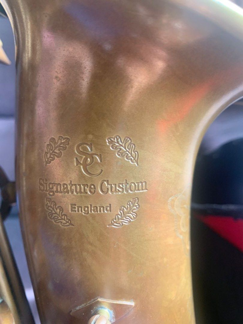 Saxophone Trevor james signature costum raw, Hobbies & Toys, Music ...