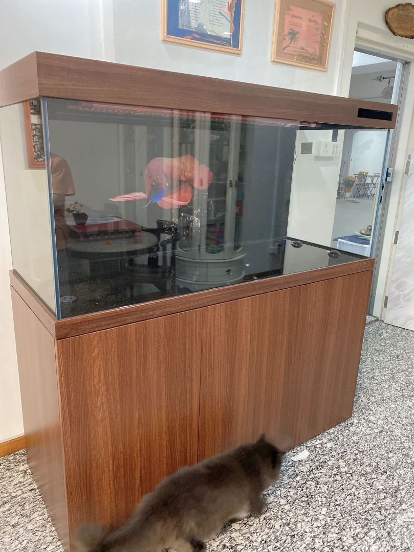 stainless steel fish tank with sump system 5ft, Pet Supplies, Homes ...