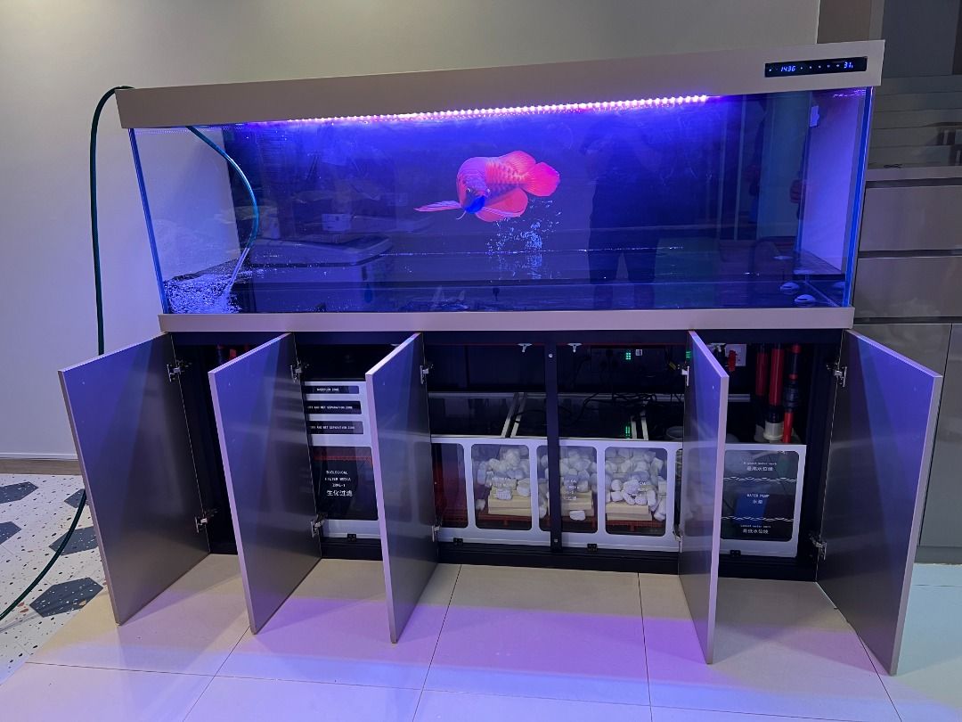 stainless steel panoramic system fish tank 7ft, Pet Supplies, Homes ...