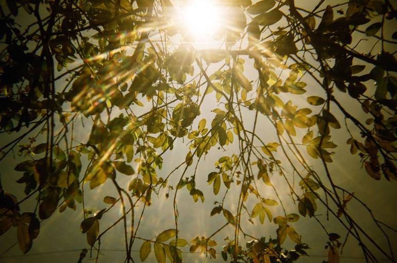 Topico Two-way Film Camera, Photography, Cameras on Carousell