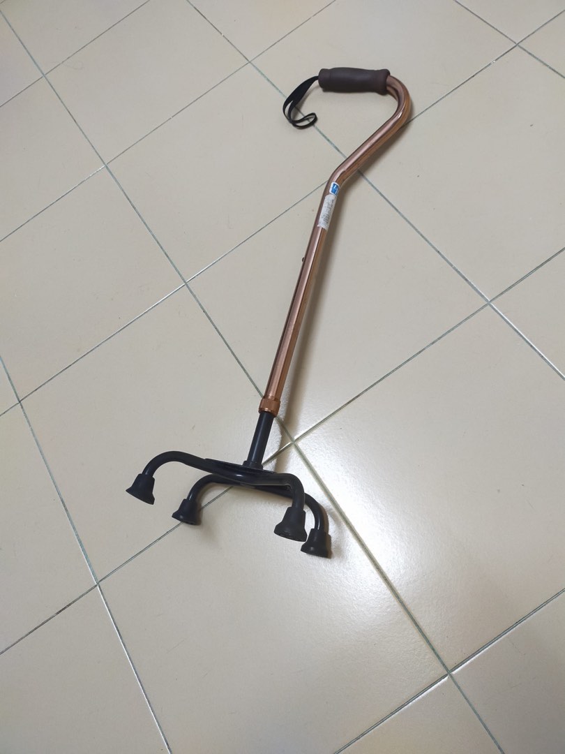 Walking stick, Health & Nutrition, Assistive & Rehabilatory Aids ...