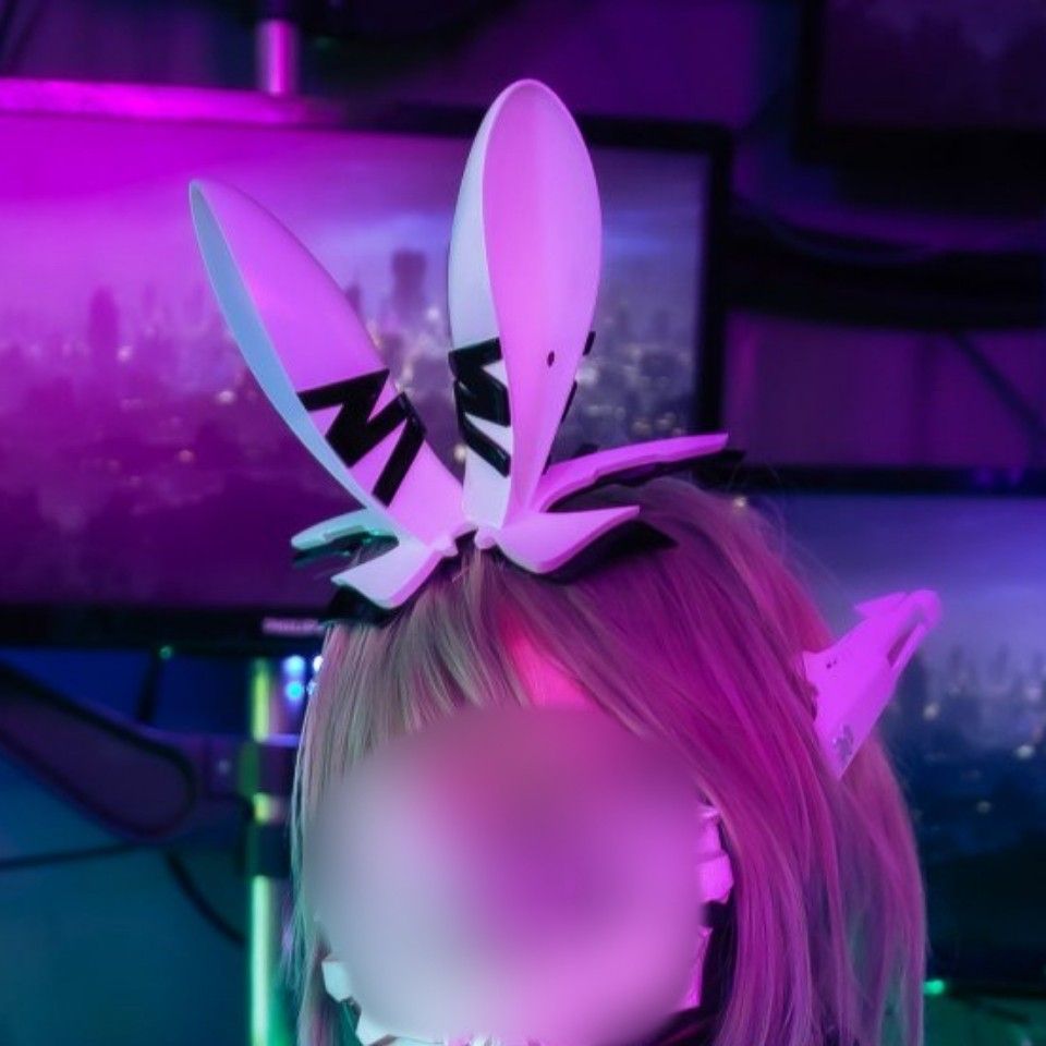 White cyberpunk cyber bunny ear head accessories, Hobbies & Toys ...