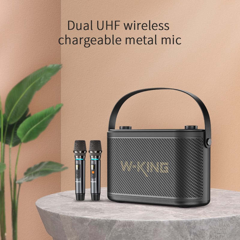 W-King H10 120W Portable Bluetooth Speaker with 2pcs Wireless Mic ...