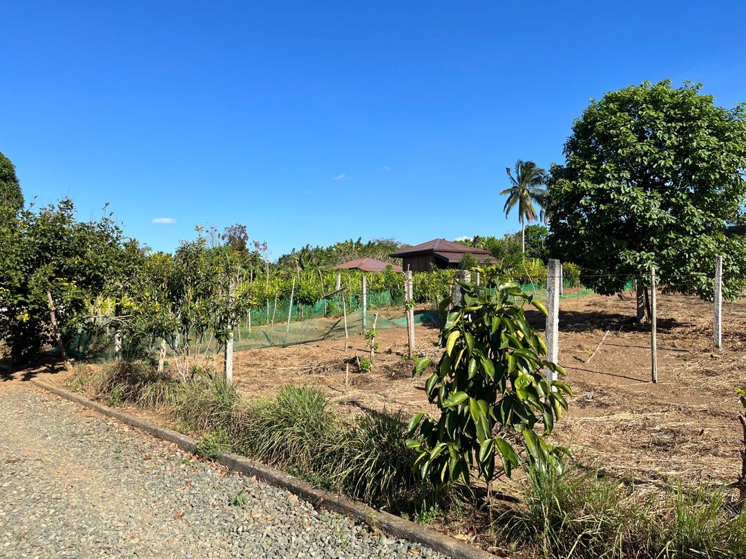 For sale: 1 Hectare Lot along General Trias, Amadeo, Cavite near ...
