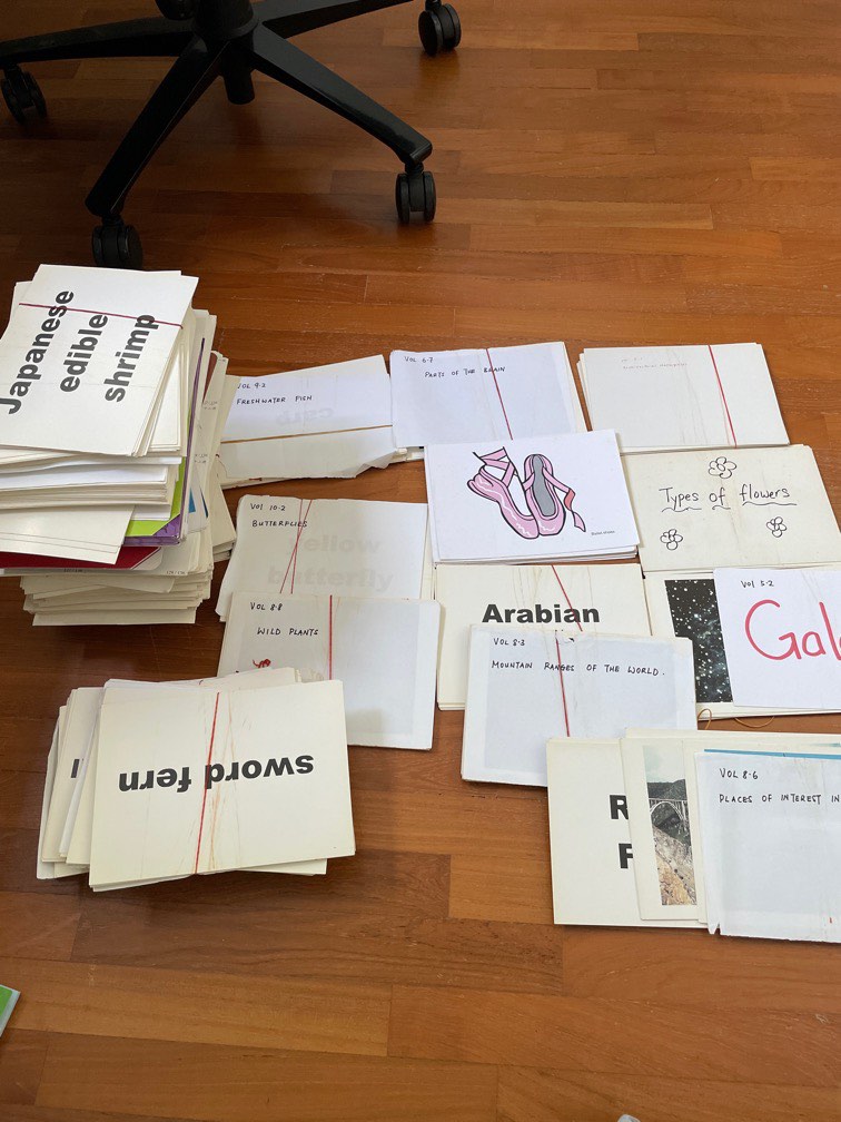 Assorted baby kids Flash cards learning, Babies & Kids, Infant Playtime ...