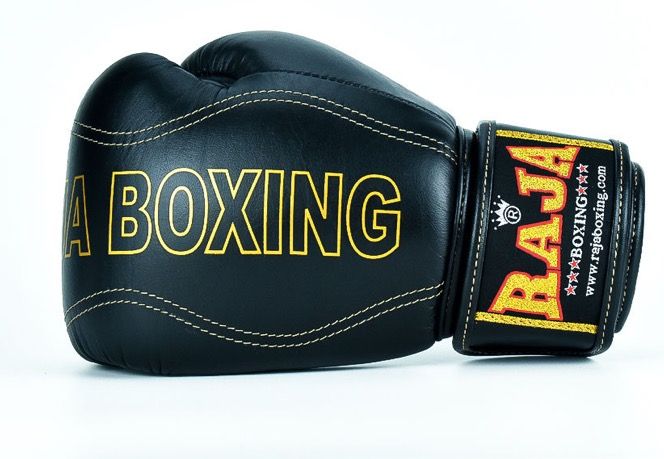 [Brand New]The Original Raja Boxing Premium Gloves Boxing Luxury ...