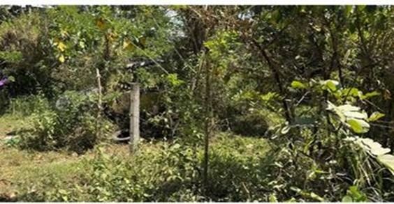 Clean Title Vacant lot Property in Brgy.Laiban Tanay Rizal for Sale ...