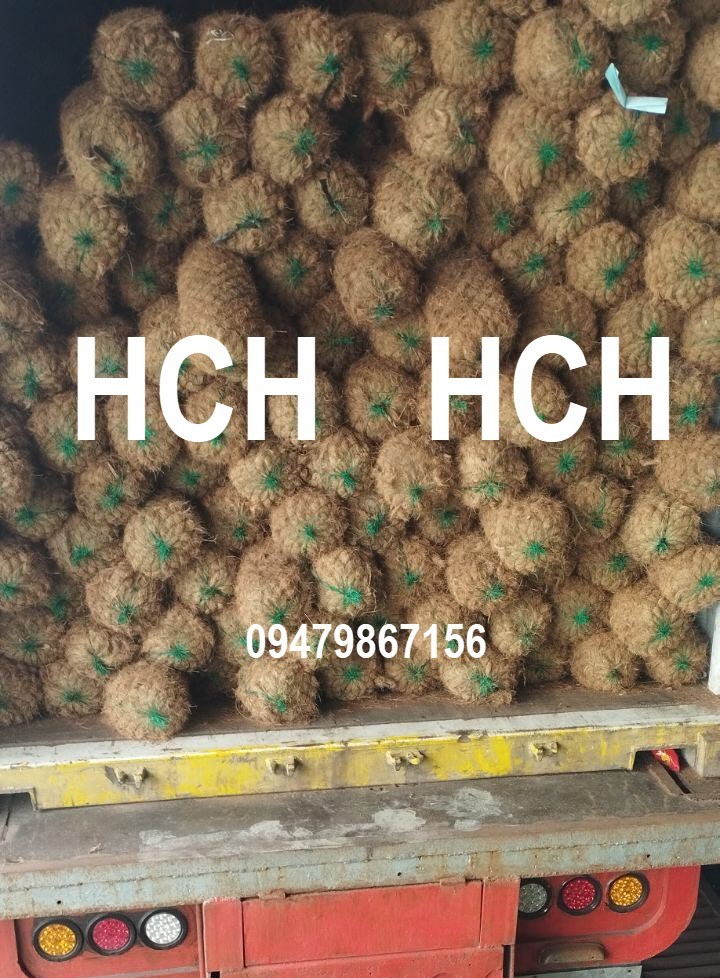 COCOLOGS FASCINE, Commercial & Industrial, Construction & Building ...