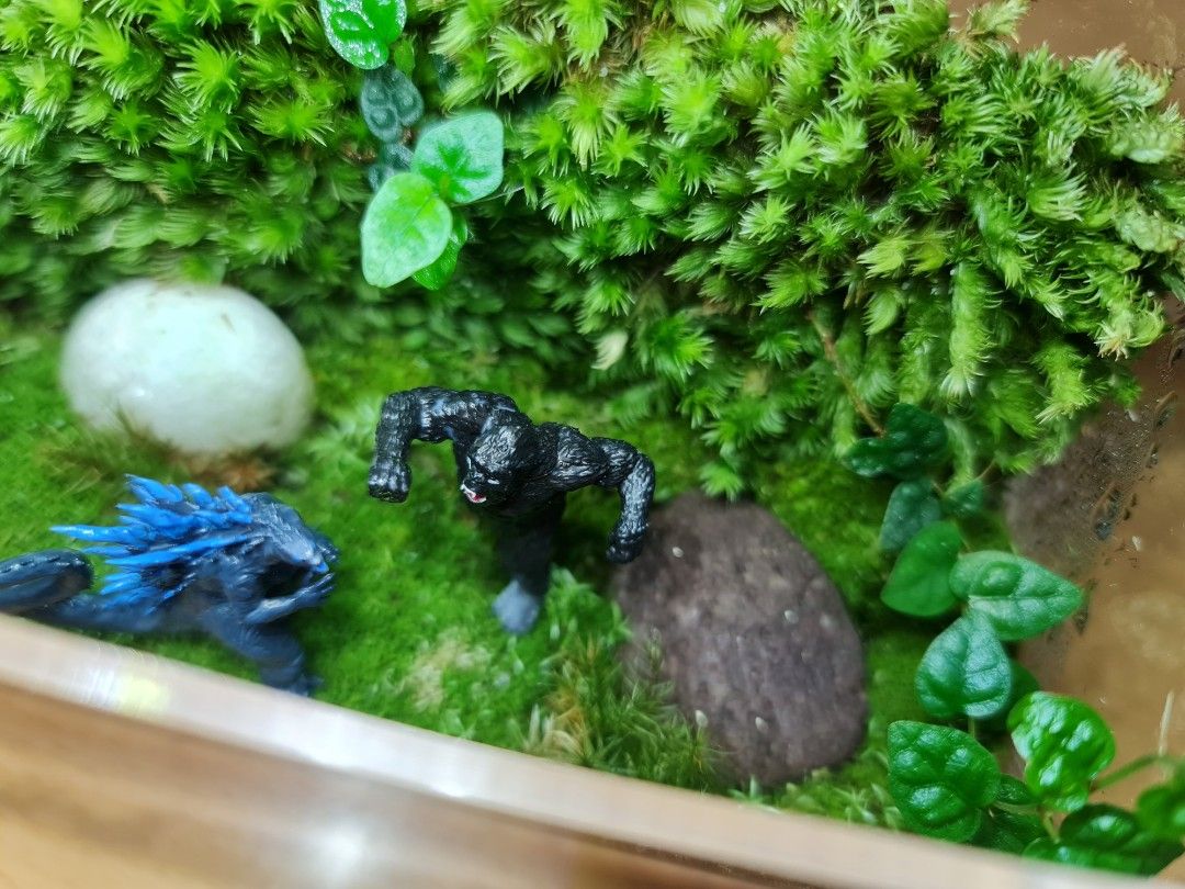 Gorilla VS Godzilla close terrarium, Furniture & Home Living, Gardening ...