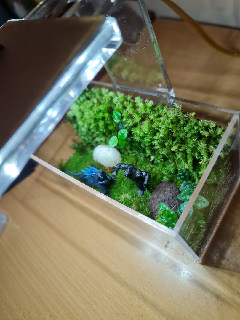 Gorilla VS Godzilla close terrarium, Furniture & Home Living, Gardening ...