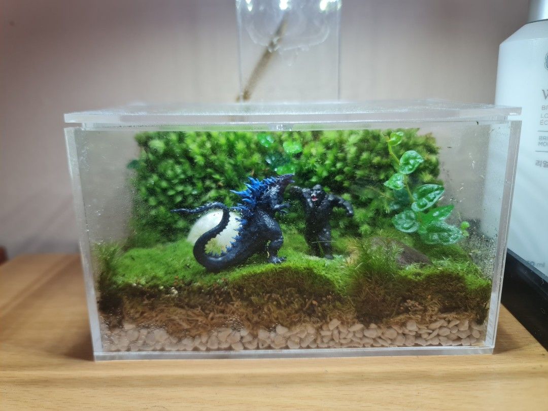 Gorilla VS Godzilla close terrarium, Furniture & Home Living, Gardening ...