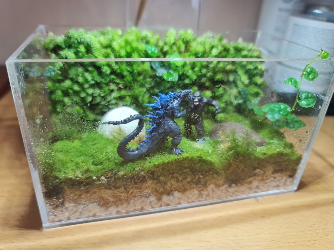 Gorilla VS Godzilla close terrarium, Furniture & Home Living, Gardening ...
