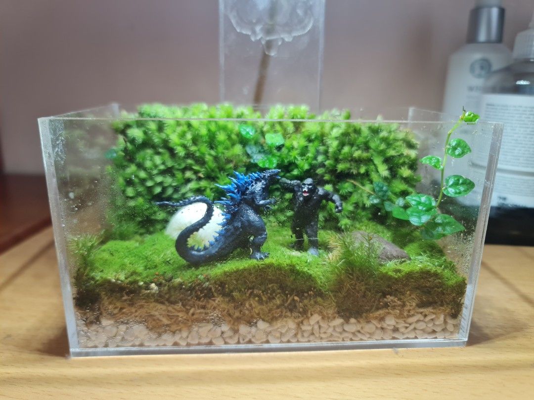Gorilla VS Godzilla close terrarium, Furniture & Home Living, Gardening ...