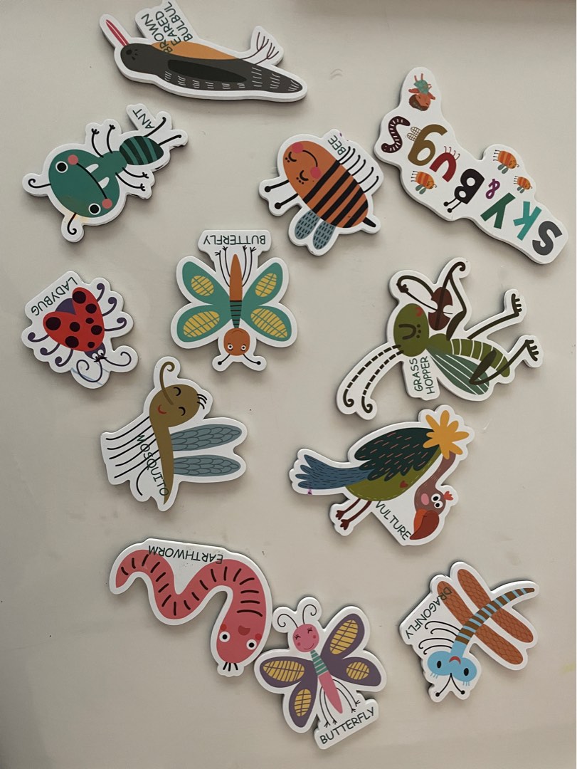 Magnetic Sky & Bugs, Hobbies & Toys, Toys & Games on Carousell