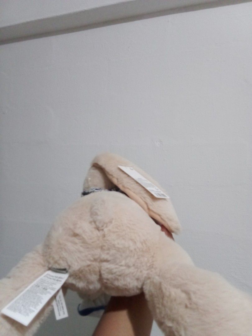 Miniso Rabbit Teddy Bear Soft Toy, Hobbies & Toys, Toys & Games on ...