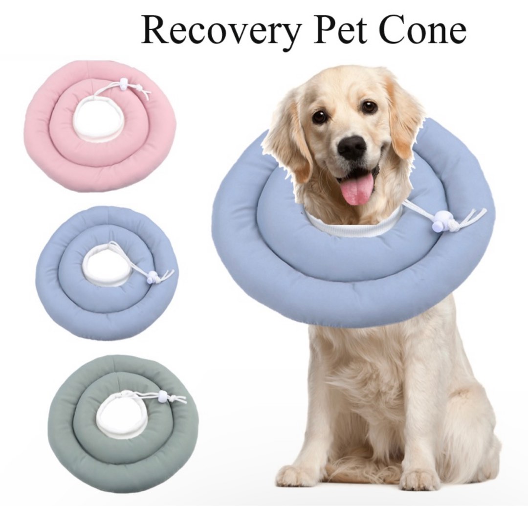 Pet cone, Pet Supplies, Homes & Other Pet Accessories on Carousell