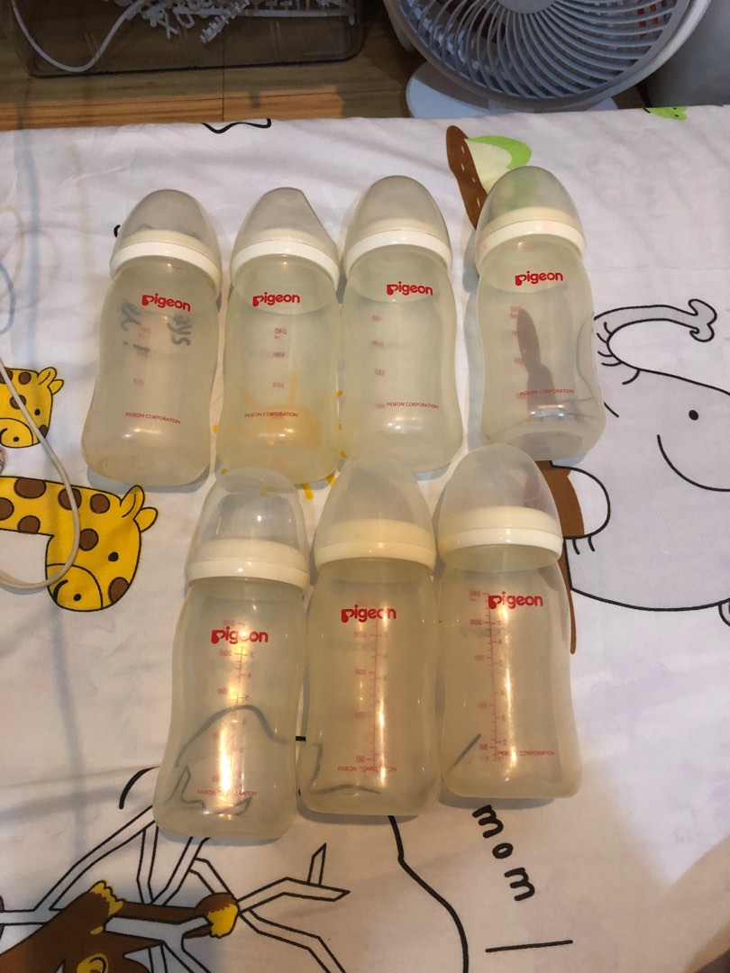 Pigeon bottle 8oz on Carousell