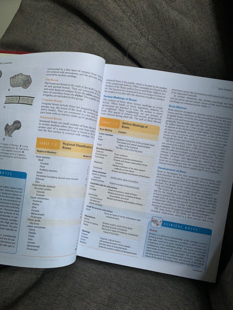 Snell CLINICAL ANATOMY BY REGIONS 9TH EDITION, Hobbies & Toys, Books & Magazines, Textbooks on ...