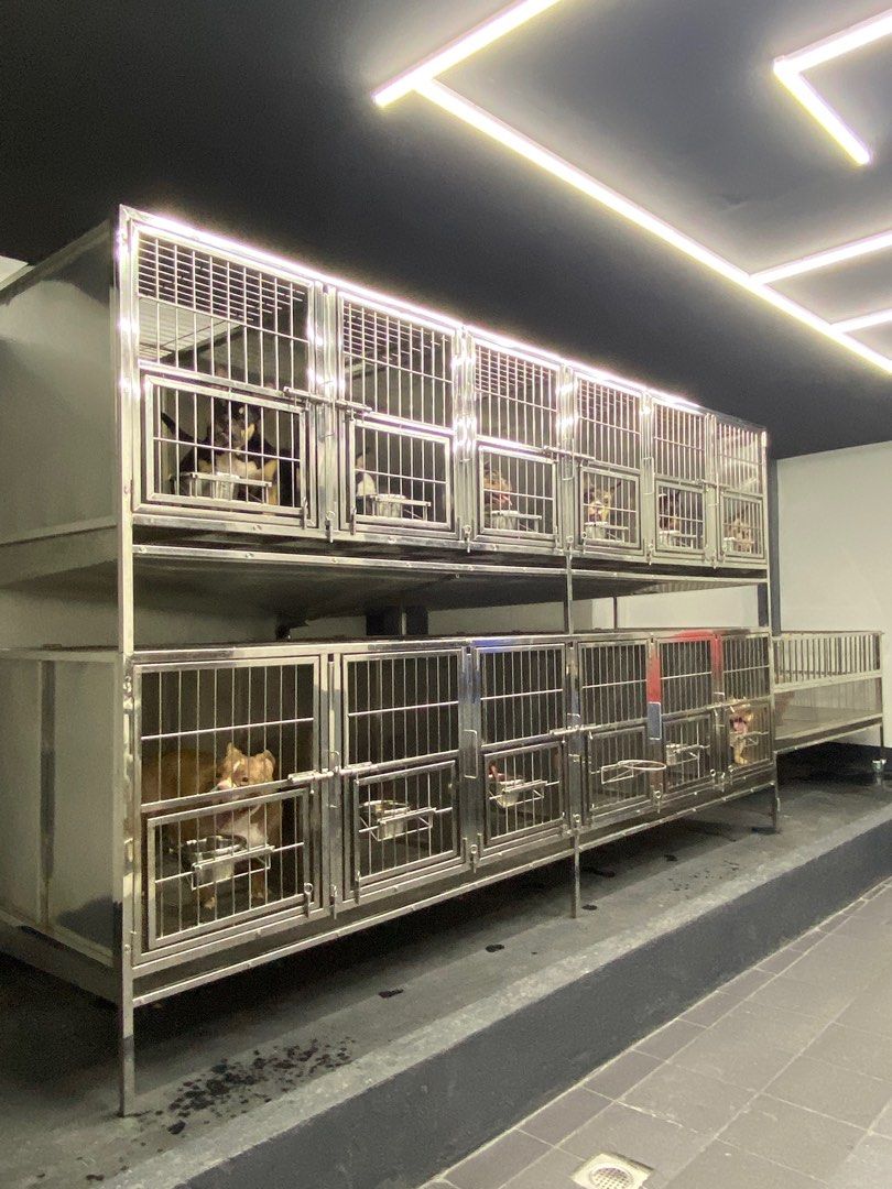 Stainless Modular Cages, Pet Supplies, Homes & Other Pet Accessories on ...