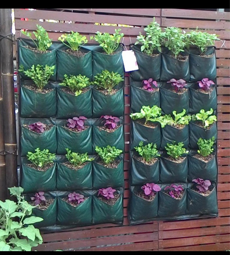 (748) wall planter 15 kantong vertical garden, Perkebunan di Carousell