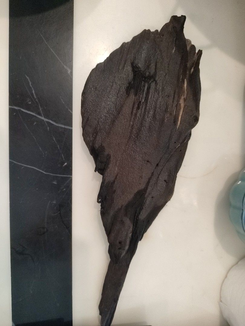 250 Grams Kemuning Hitam AAA Hard Quality / From West Malaysia Mountain ...