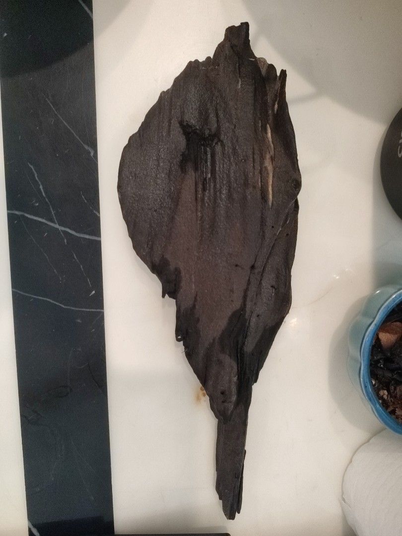 250 Grams Kemuning Hitam AAA Hard Quality / From West Malaysia Mountain ...