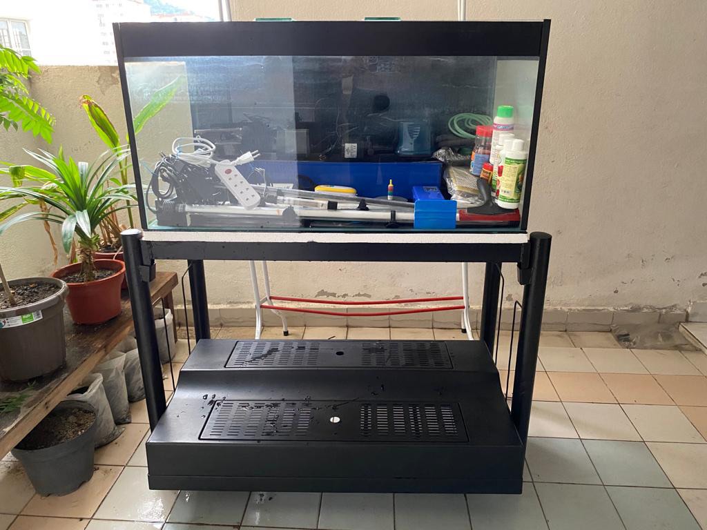 Aquarium 3 Kaki, Pet Supplies, Homes & Other Pet Accessories on Carousell