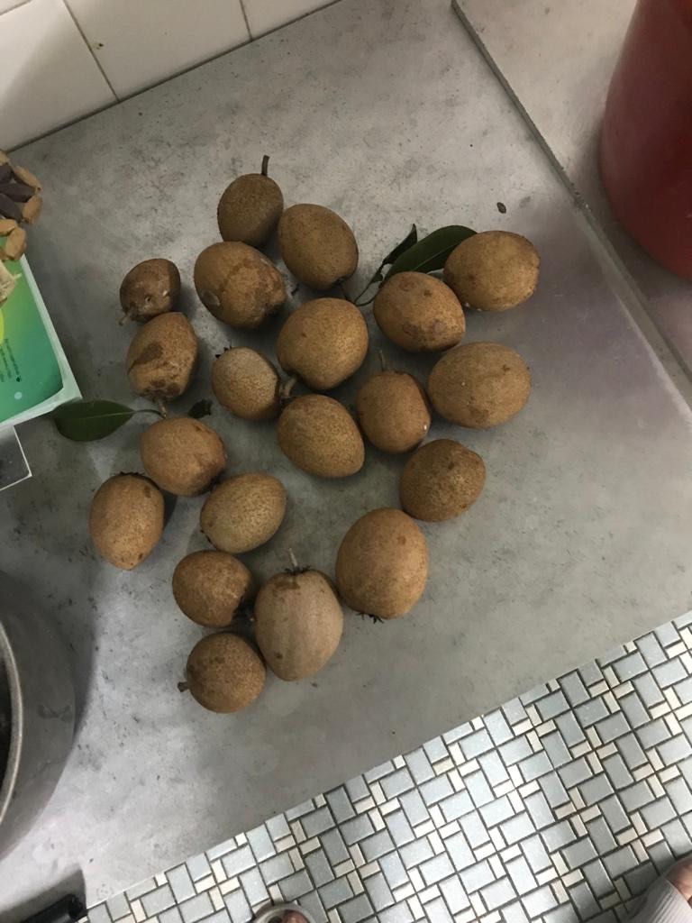 Chiku, Food & Drinks, Fresh Produce on Carousell