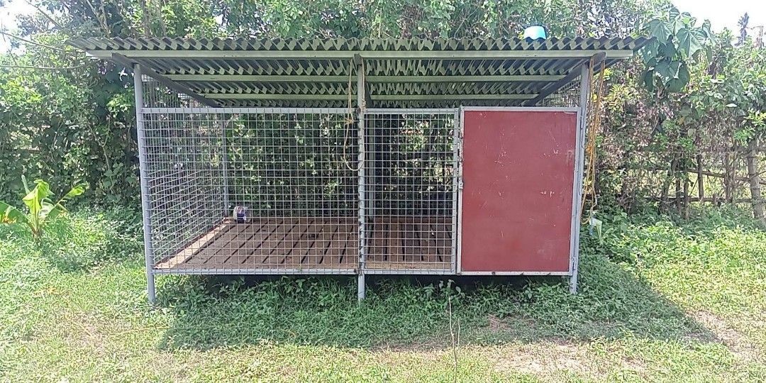 Goat cage on Carousell