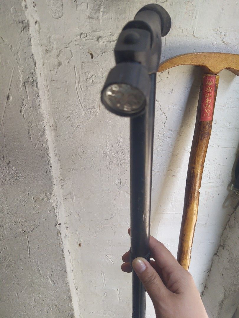 Japanese cane on Carousell