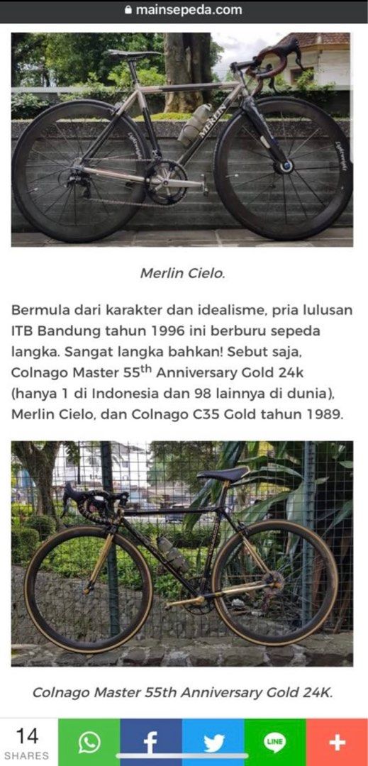 MERLIN CIELO Titanium Carbon x cervelo bmc trek brompton swork bianchi ...