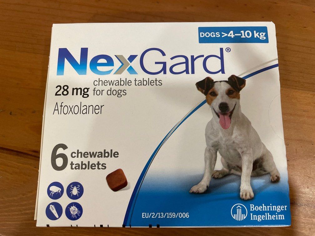 Nexgard for 4-10 KG (6 pcs), Pet Supplies, Homes & Other Pet ...