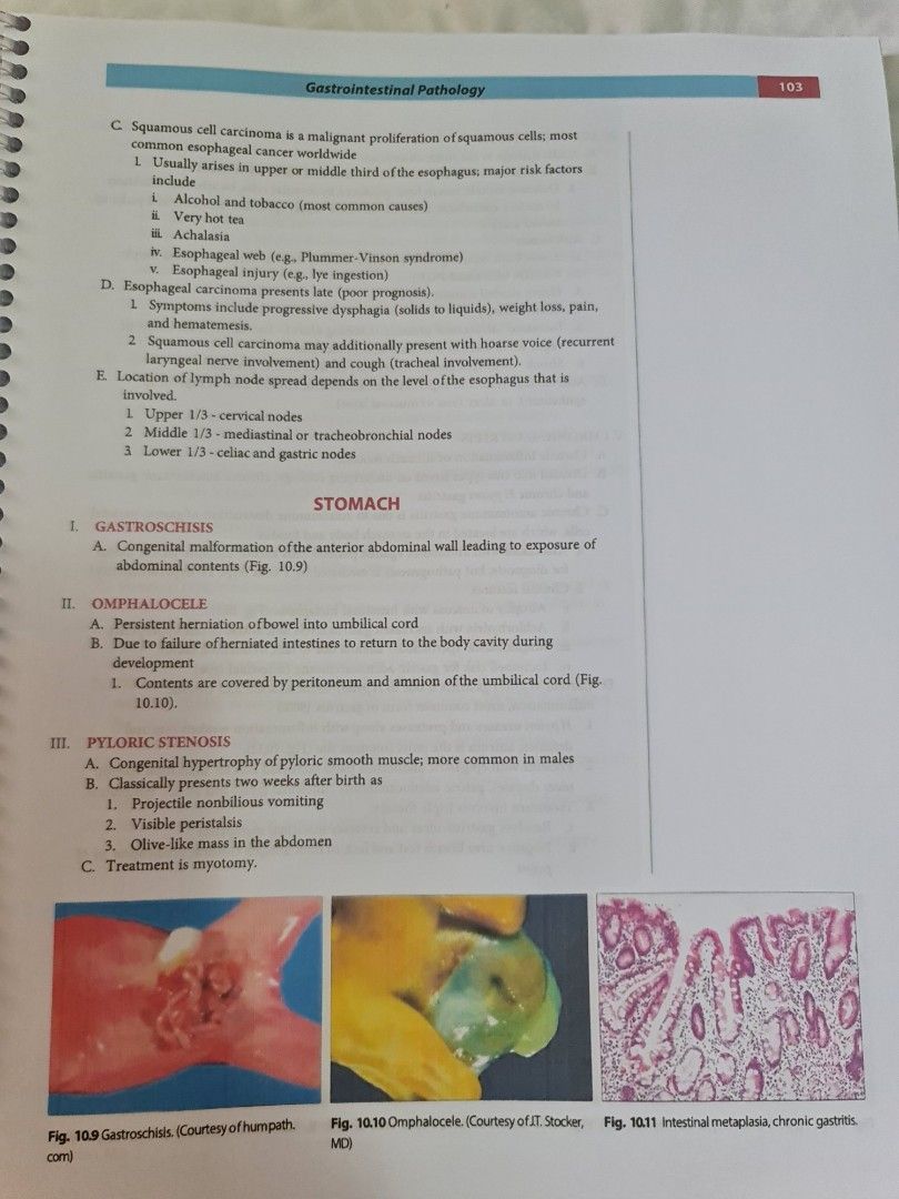 Pathoma Fundamentals of Pathology, Hobbies & Toys, Books & Magazines ...