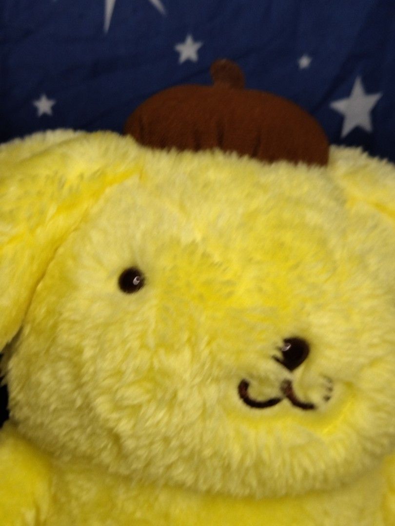 Pompompurin Fluffy Plush Hard eyes Hard nose, Hobbies & Toys, Toys ...