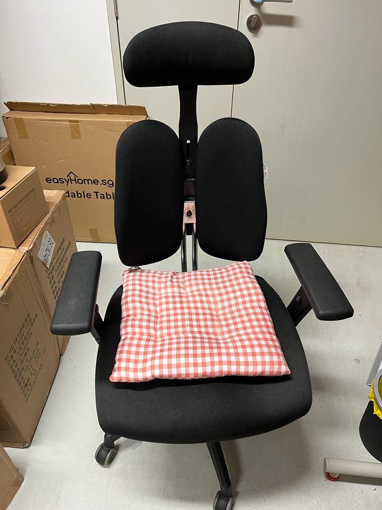 Pride Dual Back Office Chair ★ Ergonomic Chair ★ Dual Back Firm Support ...