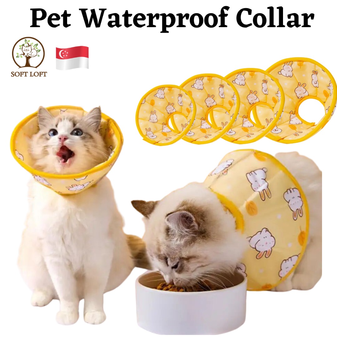 [SG STOCK] Pet Waterproof Collar Dog Cat Soft Cushion Collar Surgery ...