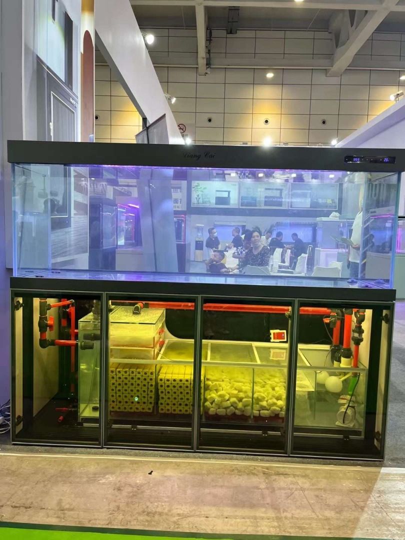 6ft fish tank with sump system, Pet Supplies, Homes & Other Pet ...