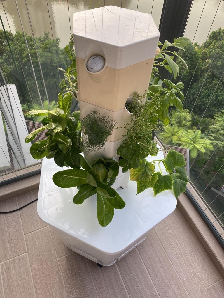 Aerospring Mini Hydroponic System, Furniture & Home Living, Gardening ...