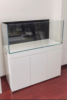 Crystal clear glass fish tank with solid wood cabinet (New), Pet ...
