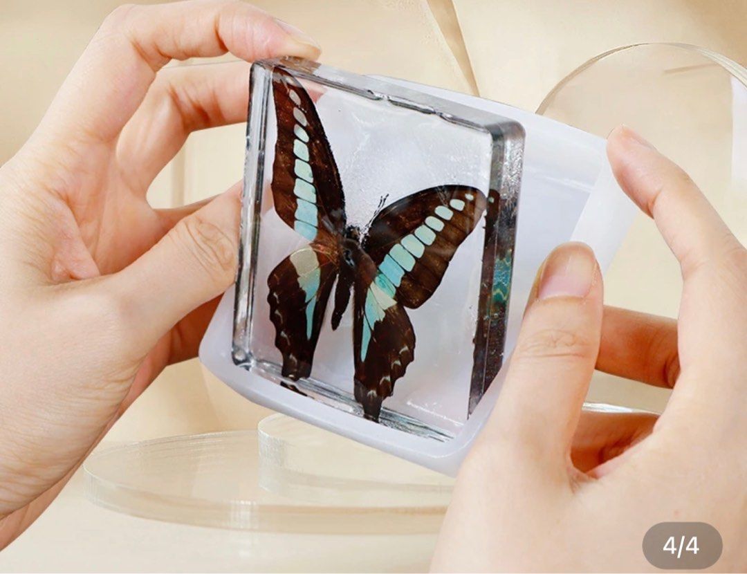 Diy specimen moulding set for kids, Hobbies & Toys, Toys & Games on ...