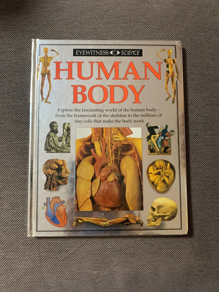 Eyewitness Science - Human Body by DK, 興趣及遊戲, 書本 & 文具, 小朋友書 - Carousell